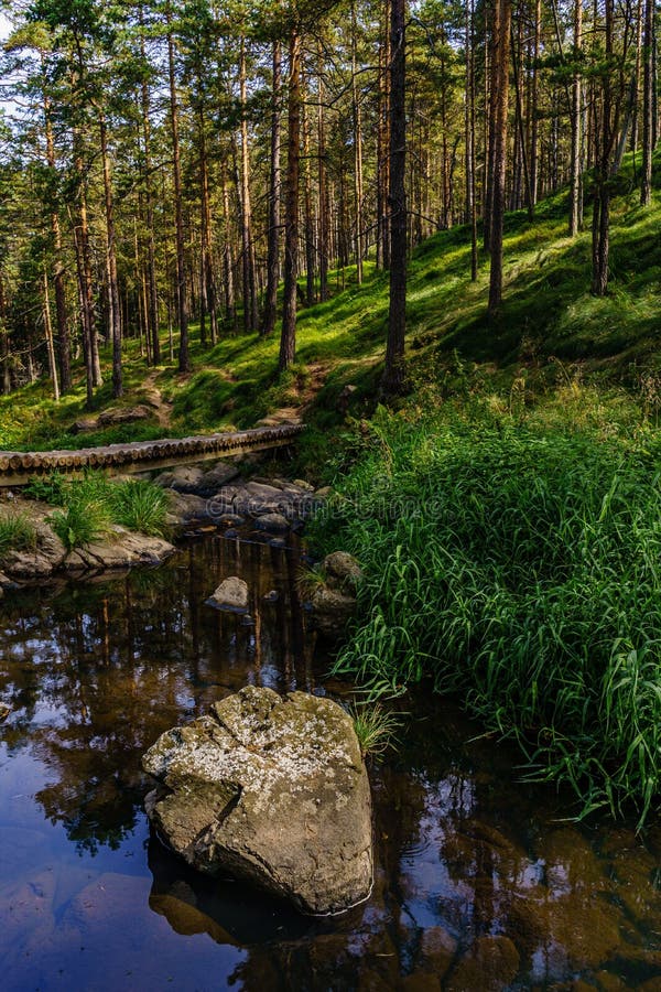 Vertical Shot of a Beautiful Lake in the Forest in Serbia Stock Photo ...
