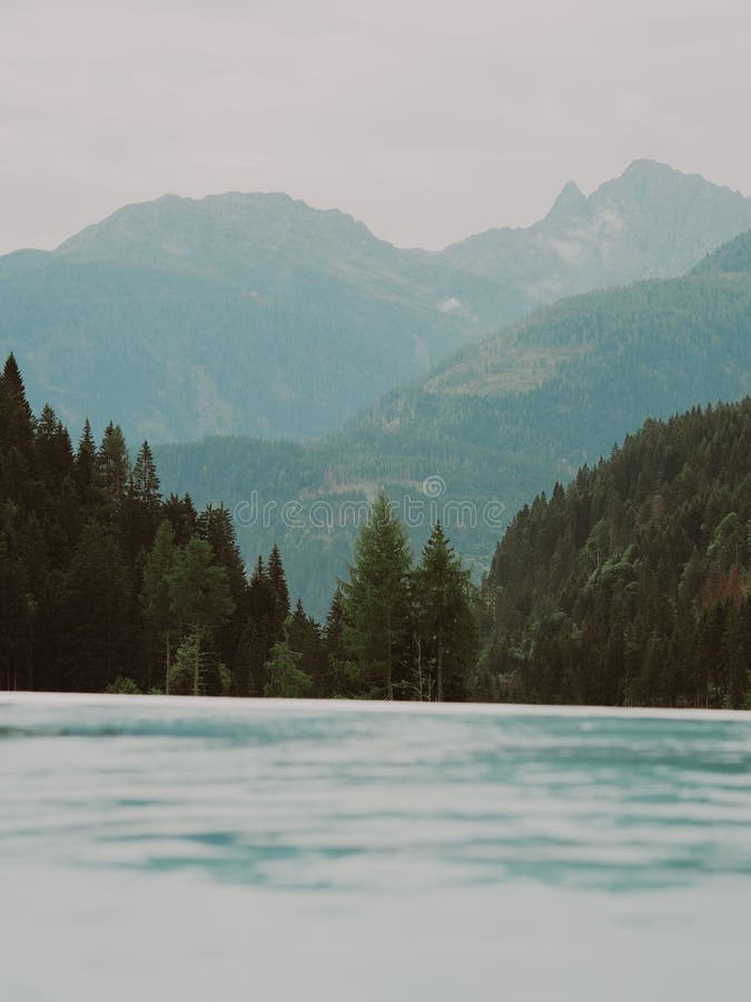 Vertical Shot of a Beautiful Mountainous Forest Nature Scenery with a ...