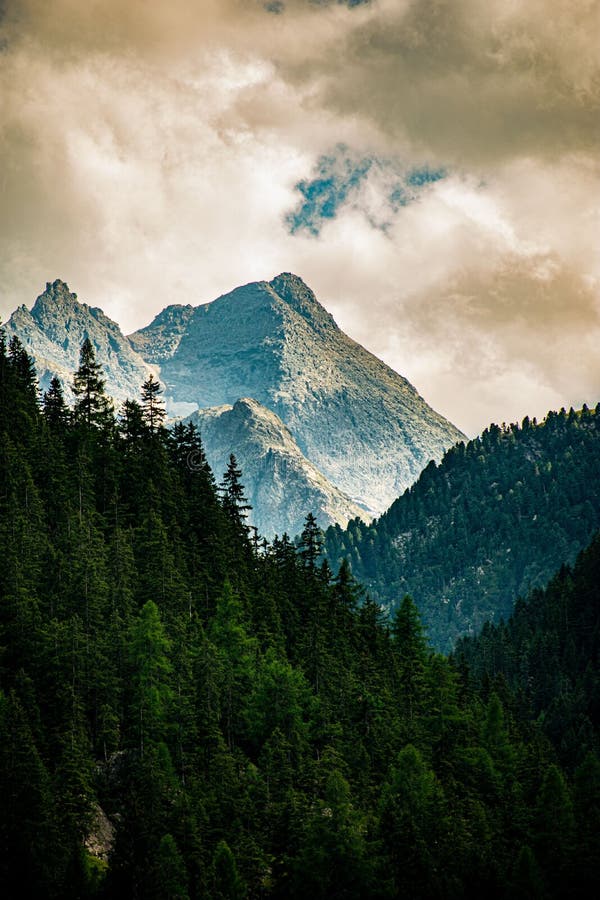 Vertical Shot of Beautiful Mountains and Forest Stock Image - Image of ...