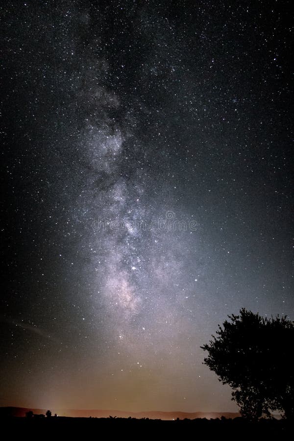 Vertical Shot of a Beautiful Night Sky Full of Stars Stock Photo ...