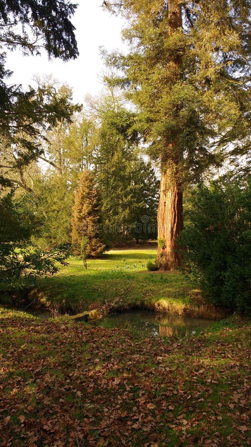 Vertical Shot a Beautiful Park with a Stream Running through Stock ...