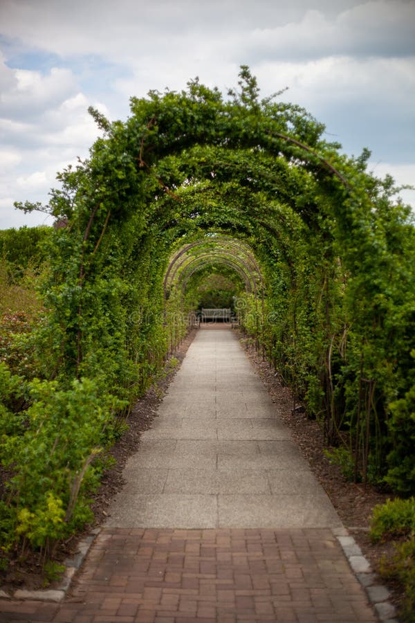 Vertical Shot of a Beautiful Pathway Decorated with Green Plants Stock ...