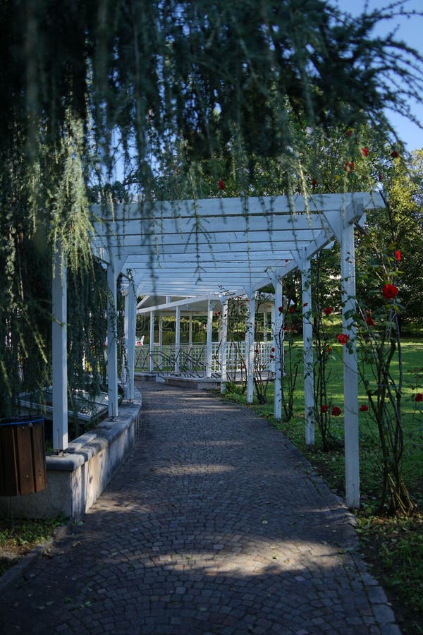 Vertical Shot of a Beautiful Pathway in the Park Stock Photo - Image of ...