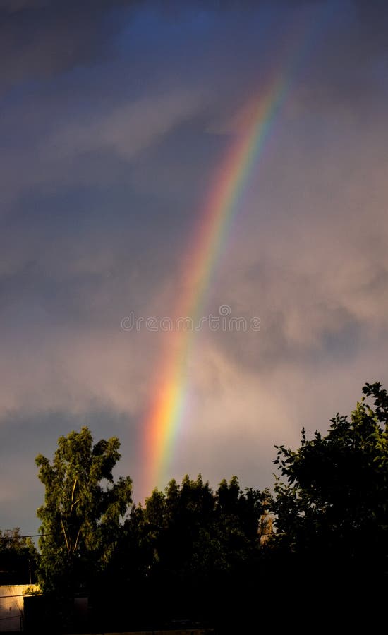 Vertical Shot of a Beautiful Rainbow in the Evening Sky Stock Photo ...