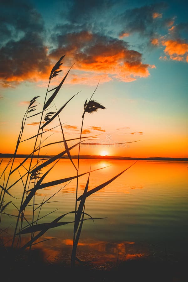 Vertical Shot of a Beautiful River with Sunset on the Horizon and Red ...