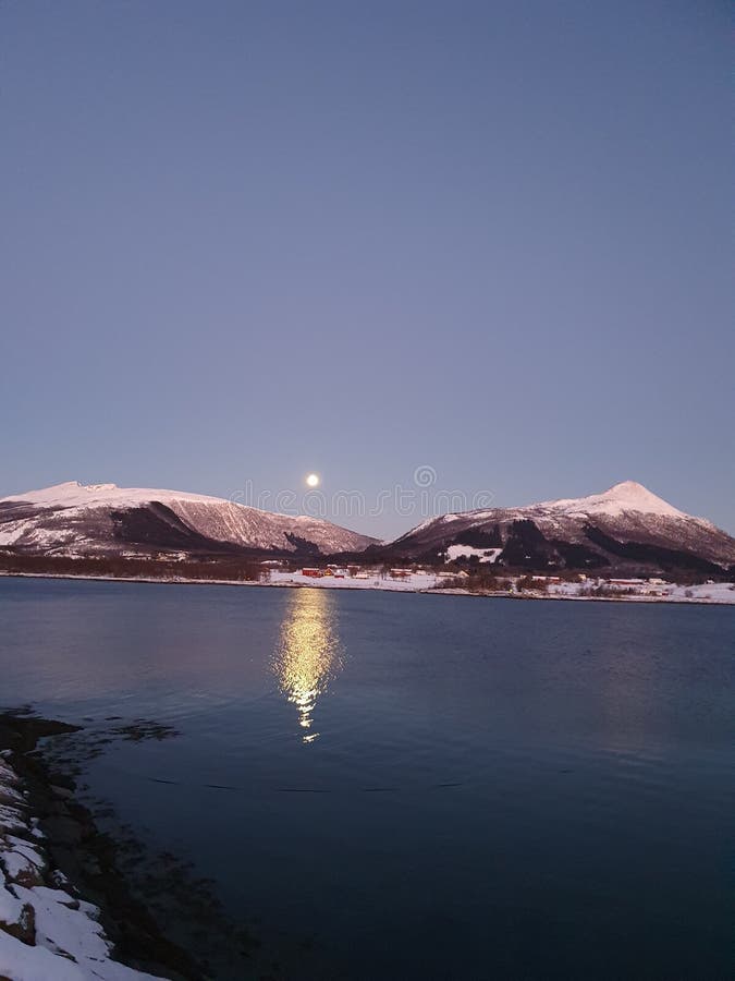Vertical Shot of Beautiful Scenery of a Lake Reflecting the Moonlight ...