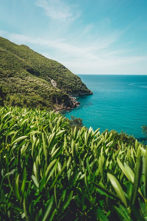 Vertical Shot of a Beautiful Scenery of a Sea Surrounded by Tall Green ...