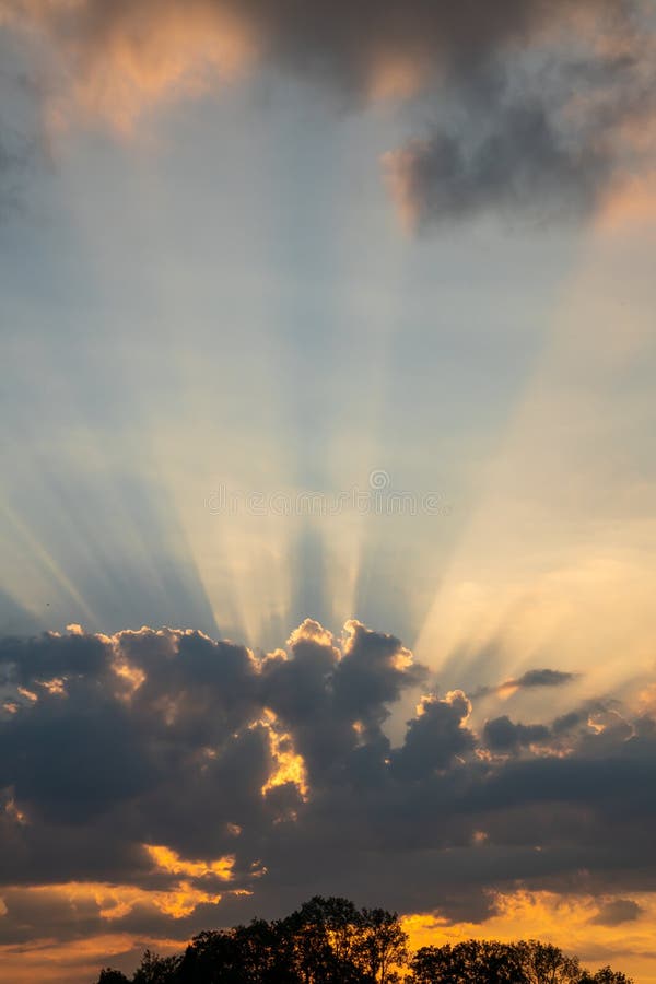 Vertical Shot of Beautiful Sunset with Rays of the Sun Behind the ...
