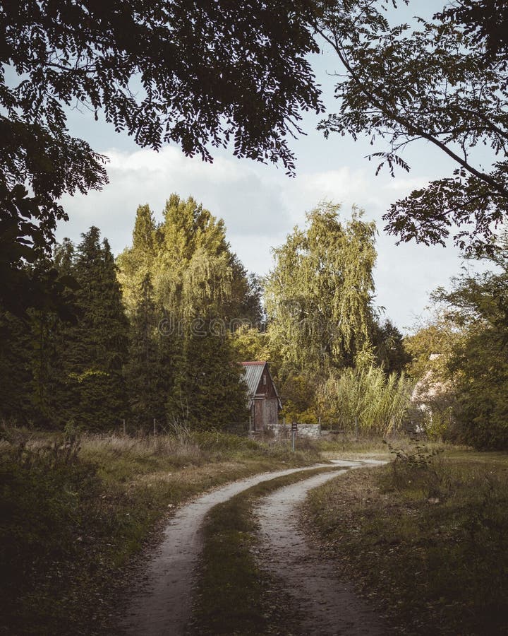 Vertical Shot of a Beautiful Walking Path among Trees Stock Photo ...
