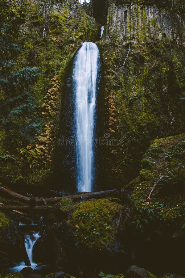 Vertical Shot of a Beautiful Waterfall Stock Photo - Image of flow ...