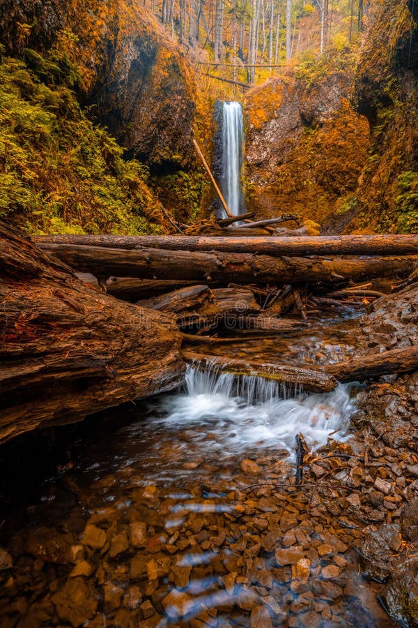Vertical Shot of a Beautiful Waterfall with Broken Trees in the Front ...