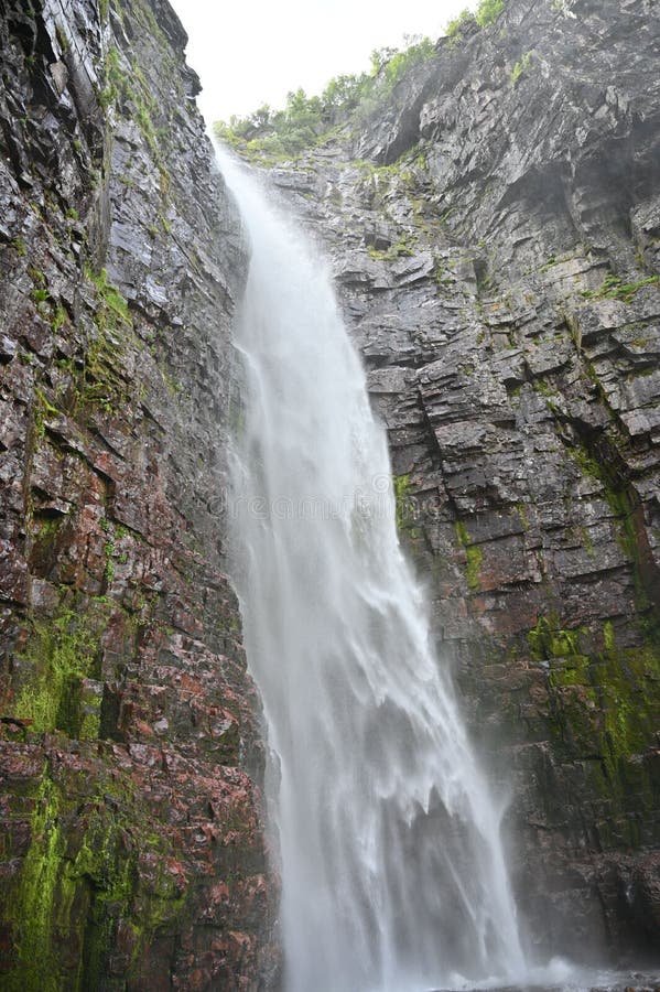Vertical Shot of a Beautiful Waterfall Flowing in the Forest Stock ...