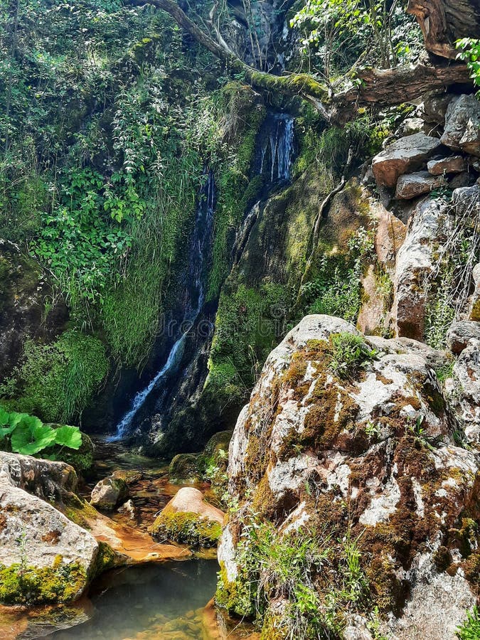 Vertical Shot of a Beautiful Waterfall Streaming Down from a Cliff into ...