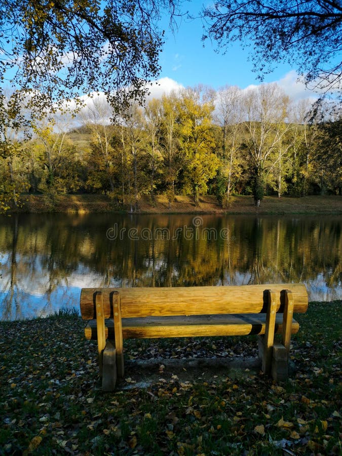 Vertical Shot of a Bench on the Edge of a Calm Lake with Trees ...