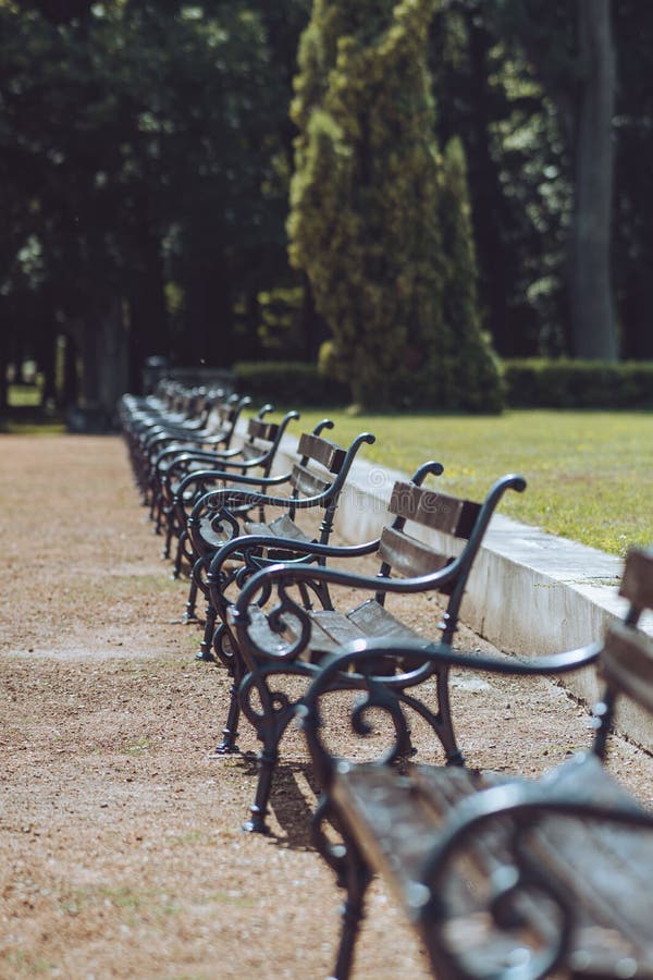 Vertical Shot of Benches in One Line in the Park Stock Photo - Image of ...
