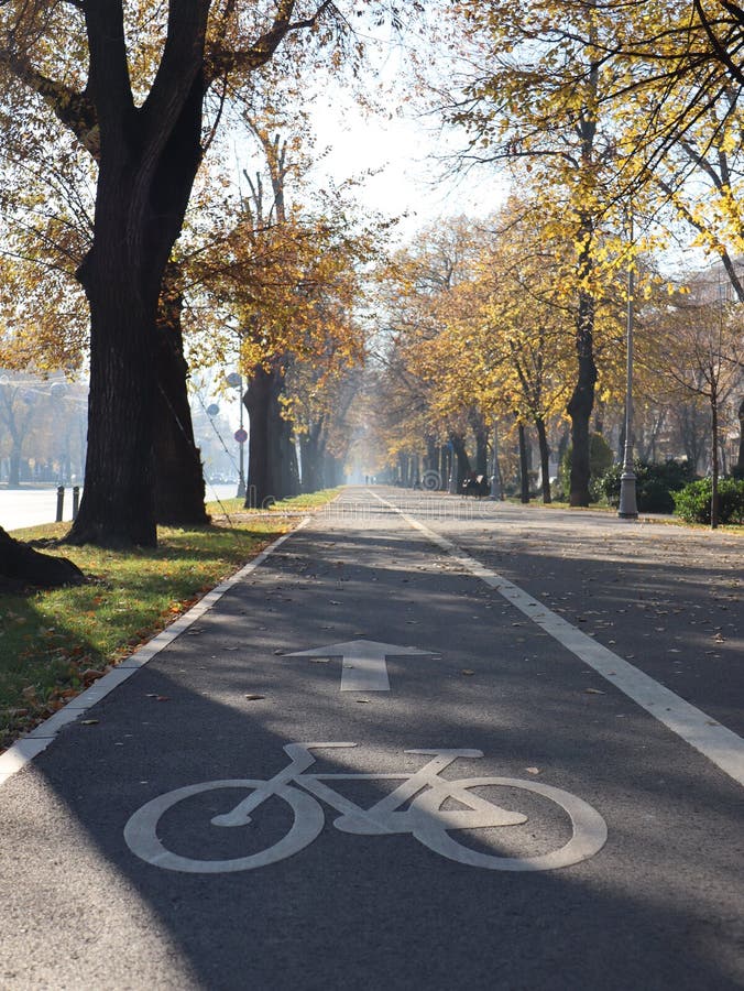 Vertical Shot of a Bicycle Pathway Surrounded by Trees Stock Image ...