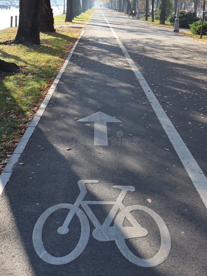Vertical Shot of a Bicycle Pathway Surrounded by Trees Stock Image ...