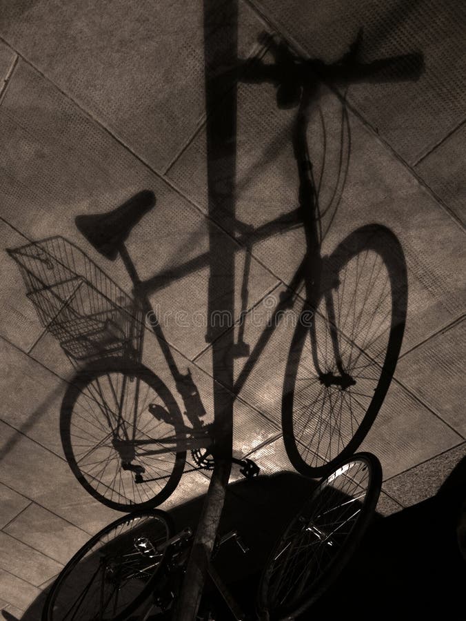 Vertical Shot of a Bicycle Shadow Reflecting on the Ground Stock Photo ...