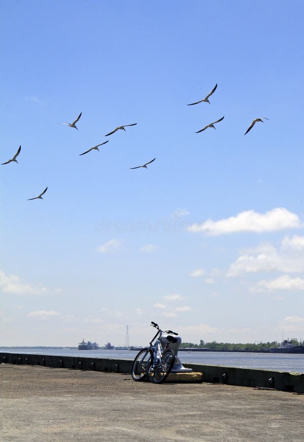 Vertical Shot of Birds Flying Over with a Blue Sky in the Background ...