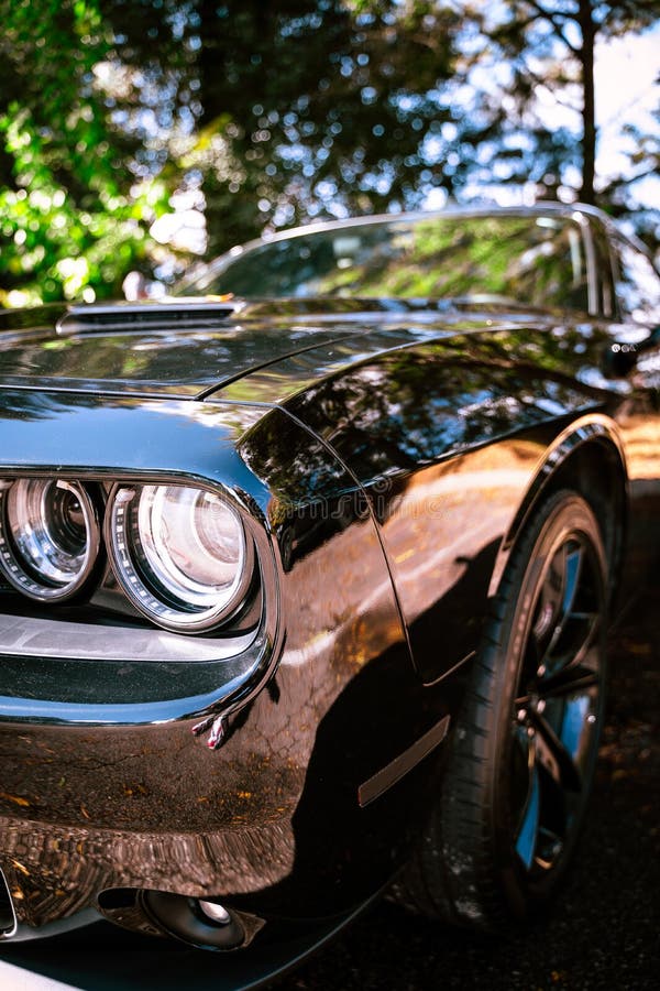 Vertical Shot of a Black Dodge Challenger Parked in a Park Editorial ...