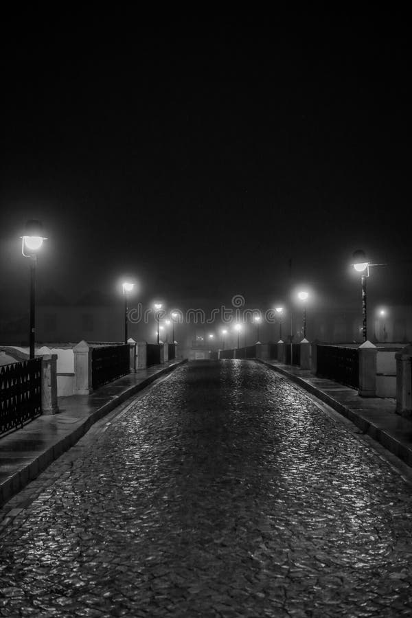 Vertical Shot Black and White Shot of a Road Illuminated with Street ... Vertical Shot Black and White Shot of a Road Illuminated with Street ...