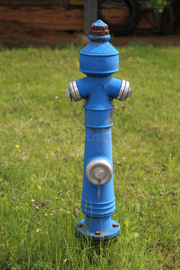 Vertical Shot of a Blue Fire Hydrant on the Green Lawn Stock Photo ...