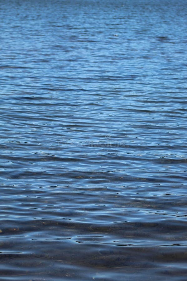 Vertical Shot of Blue Water Waves Stock Photo - Image of surface ...