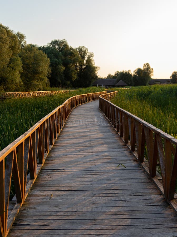 Backlit, Boardwalk, Clouds, Dawn Picture. Image: 101373105