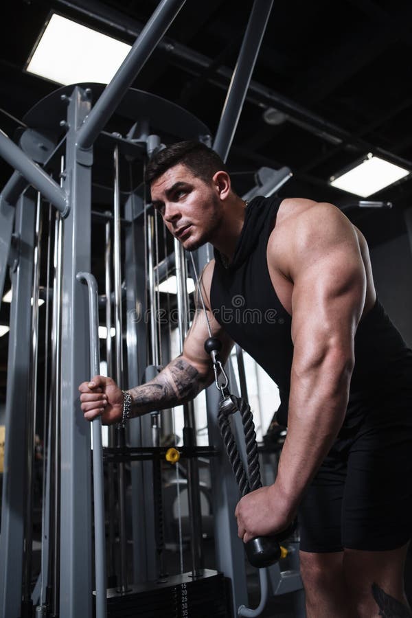 Muscular Bodybuilder Working Out at Gym Stock Image - Image of ...