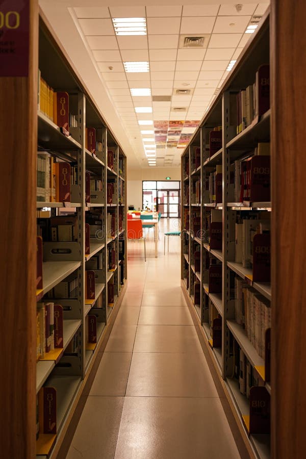 Vertical Shot of Books on Bookshelves in the Library Stock Photo ...