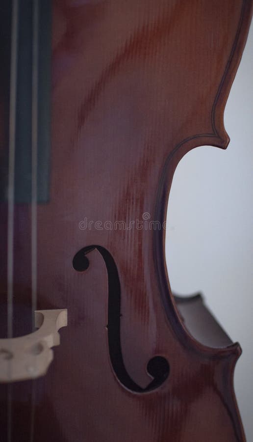 Vertical Shot of the Bridge and F-hole of a Cello with a White ...