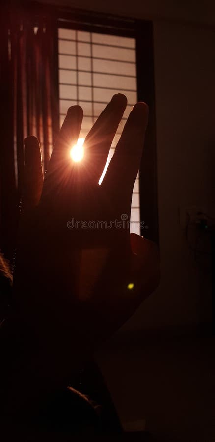 Vertical Shot of Bright Sun Rays Falling Shining through a Person S ...