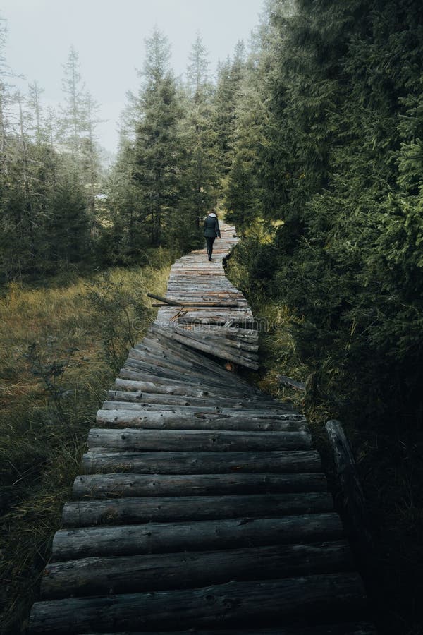 1,903 Broken Pathway Stock Photos - Free & Royalty-Free Stock Photos ...