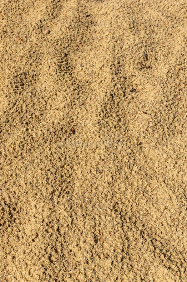 Vertical Shot of a Brown Sandy Surface Stock Photo - Image of yellow ...
