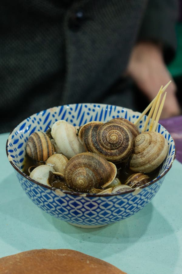 Two brown shells stock image. Image of collect, shells - 798145