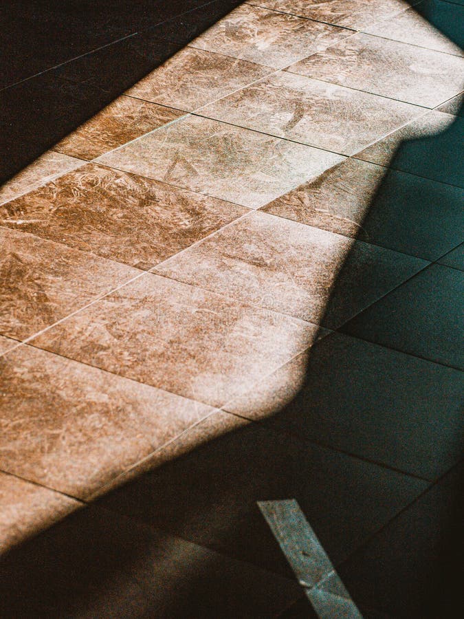 Vertical Shot of Brown Square Tiles Outside on a Sunny Day Stock Photo ...