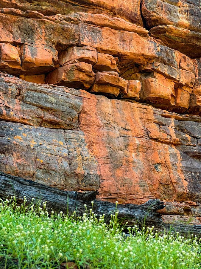Vertical Shot of Brown Wall Texture Stock Photo - Image of vertical ...