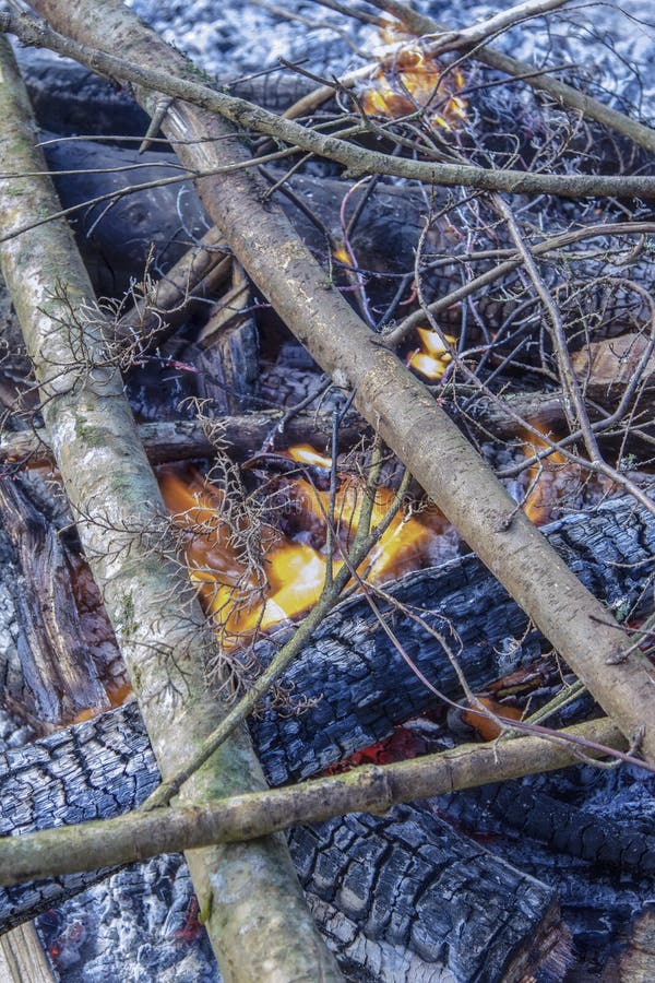 Vertical Shot of Burning Branches, Embers, and Flaming Fire Stock Image ...