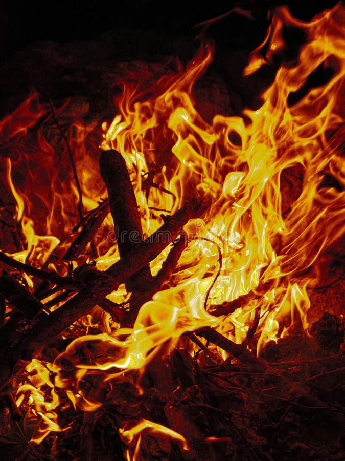 Vertical Shot of a Burning Fire in Flames in the Darkness Stock Image ...