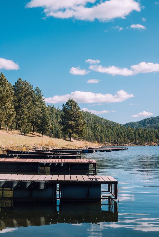 Vertical Shot of a Calm Lake Surrounded by Dense Trees Stock Photo ...