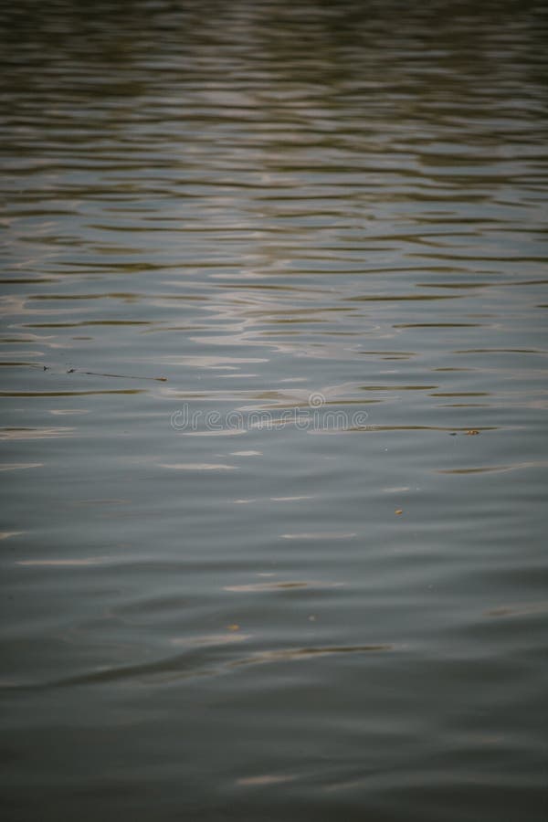 Vertical Shot of a Calm Water Texture Stock Photo - Image of lake ...