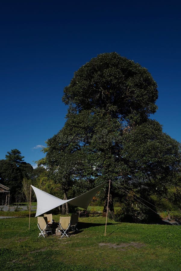 Vertical Shot of a Camp Under a Tree. Stock Image - Image of camp ...