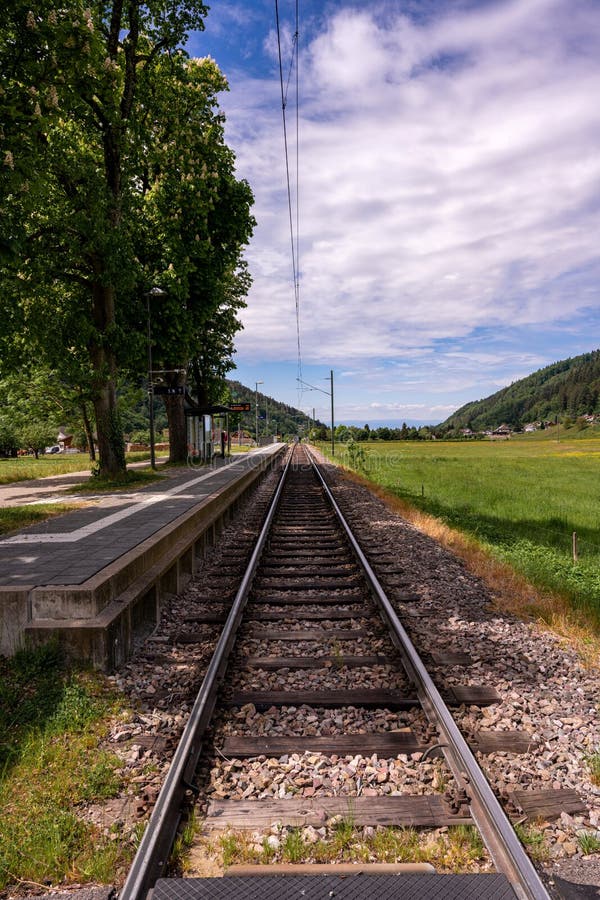 Vertical Shot Capturing Train Tracks Under the Blue Sky Stock Image ...