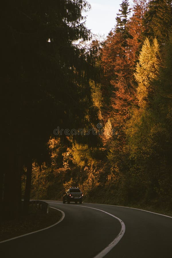 Vertical Shot of a Car Driving on an Empty Road Surrounded by Trees in ...