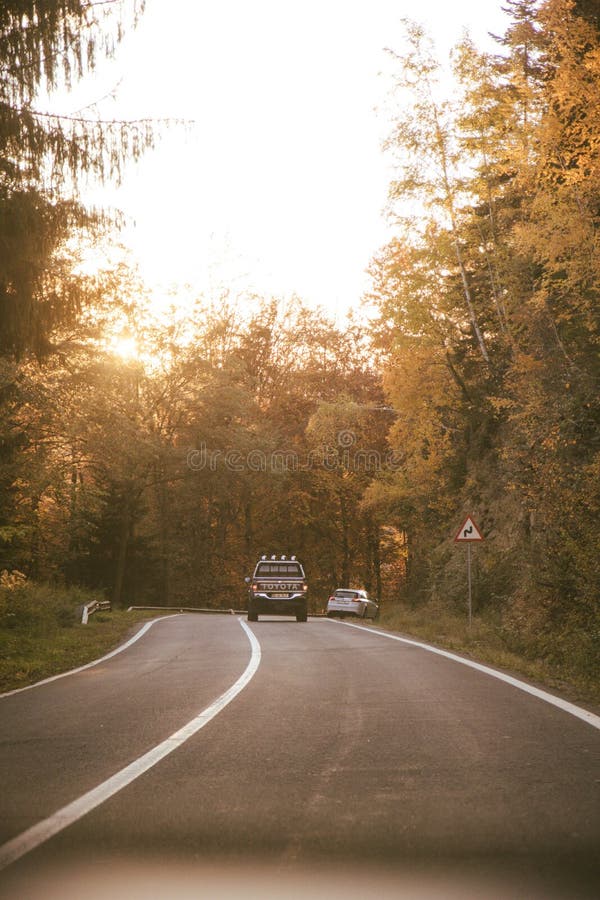Vertical Shot of a Car Driving on an Empty Road Surrounded by Trees in ...