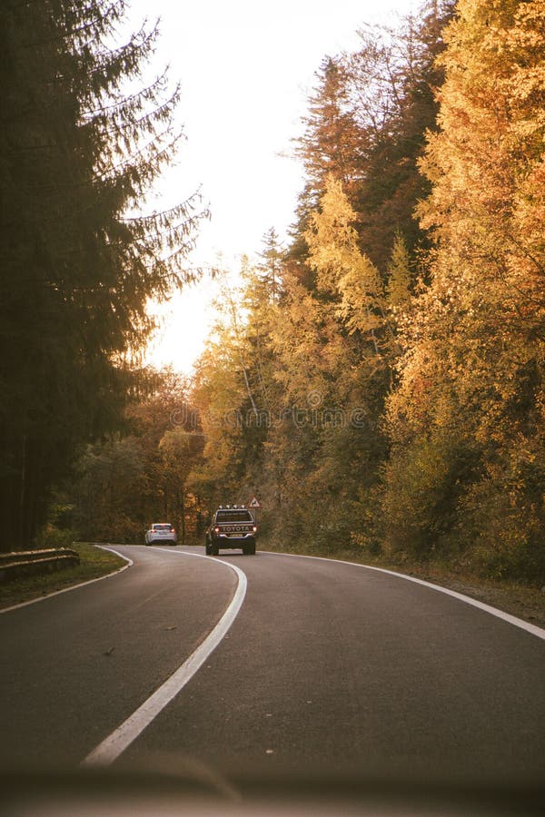 Vertical Shot of a Car Driving on an Empty Road Surrounded by Trees in ...