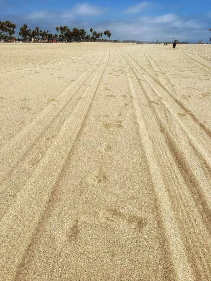 Vertical Shot of a Car Trail on a Beach Sand with Foot Trails in the ...