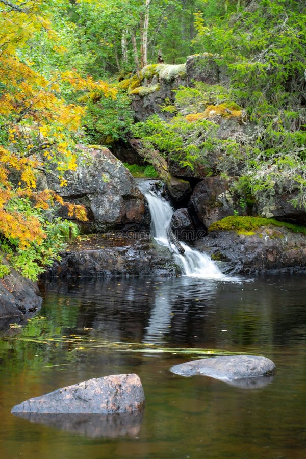 Vertical Shot of a Cascade of Water at River in a Forest Stock Image ...