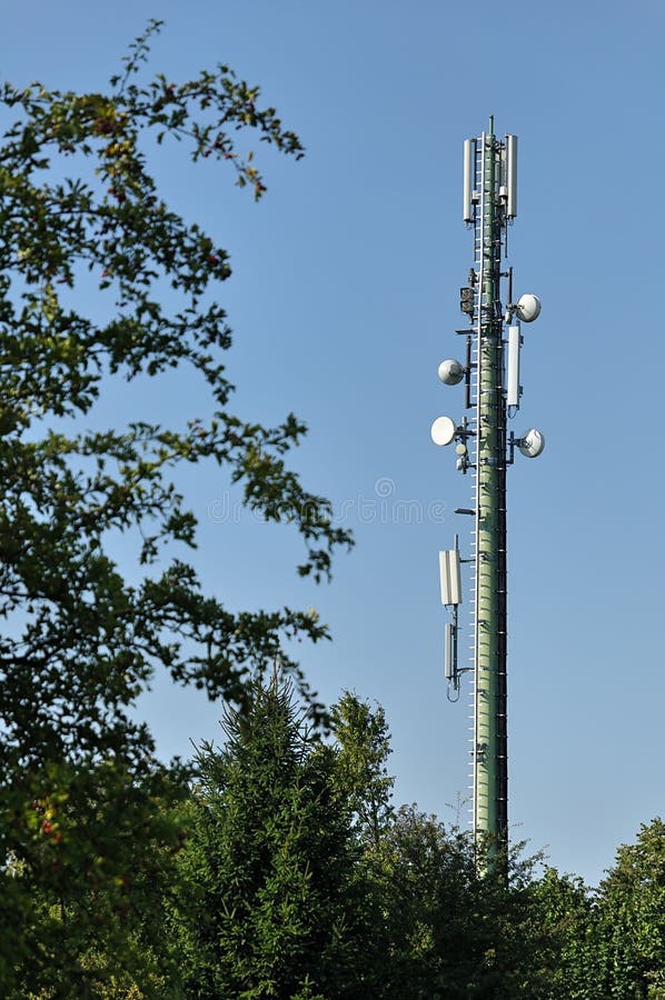 Vertical Shot of a Cell Tower Visible through the Lush Trees Stock ...