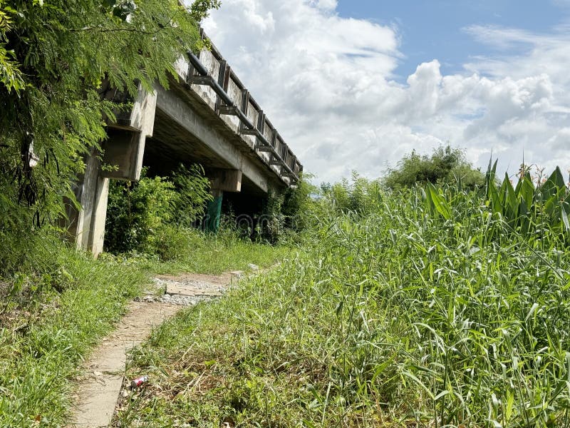 A Vertical Shot of a Cement Bridge in the Middle of Green Field Stock ...